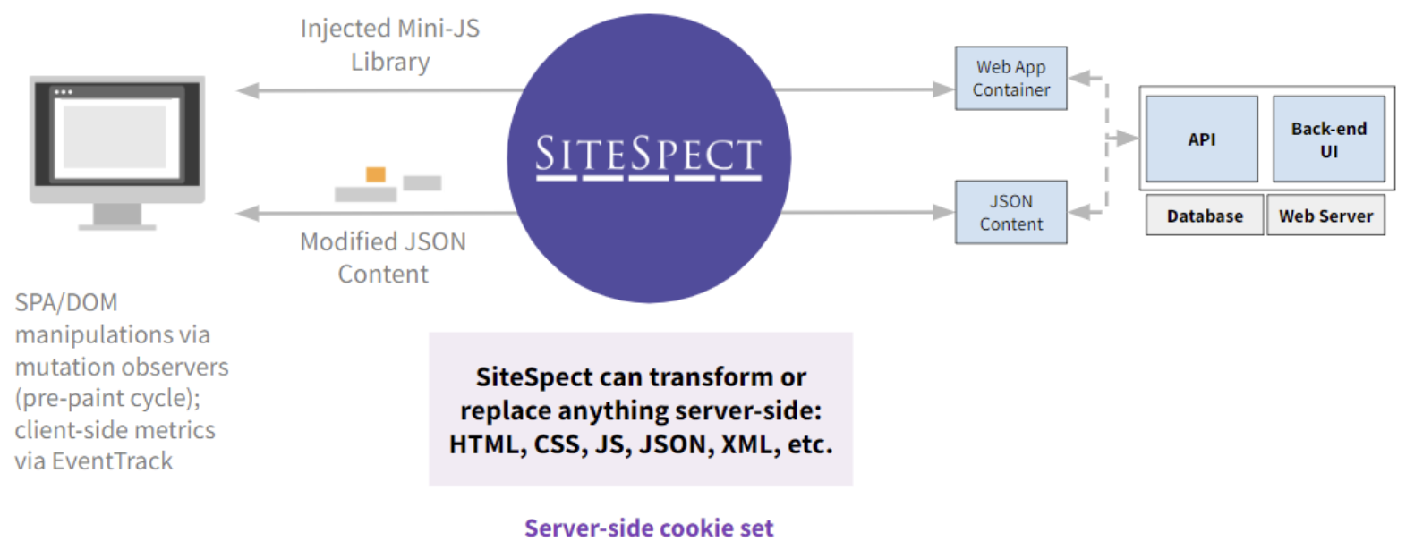 What is SiteSpect and How Does It Work?